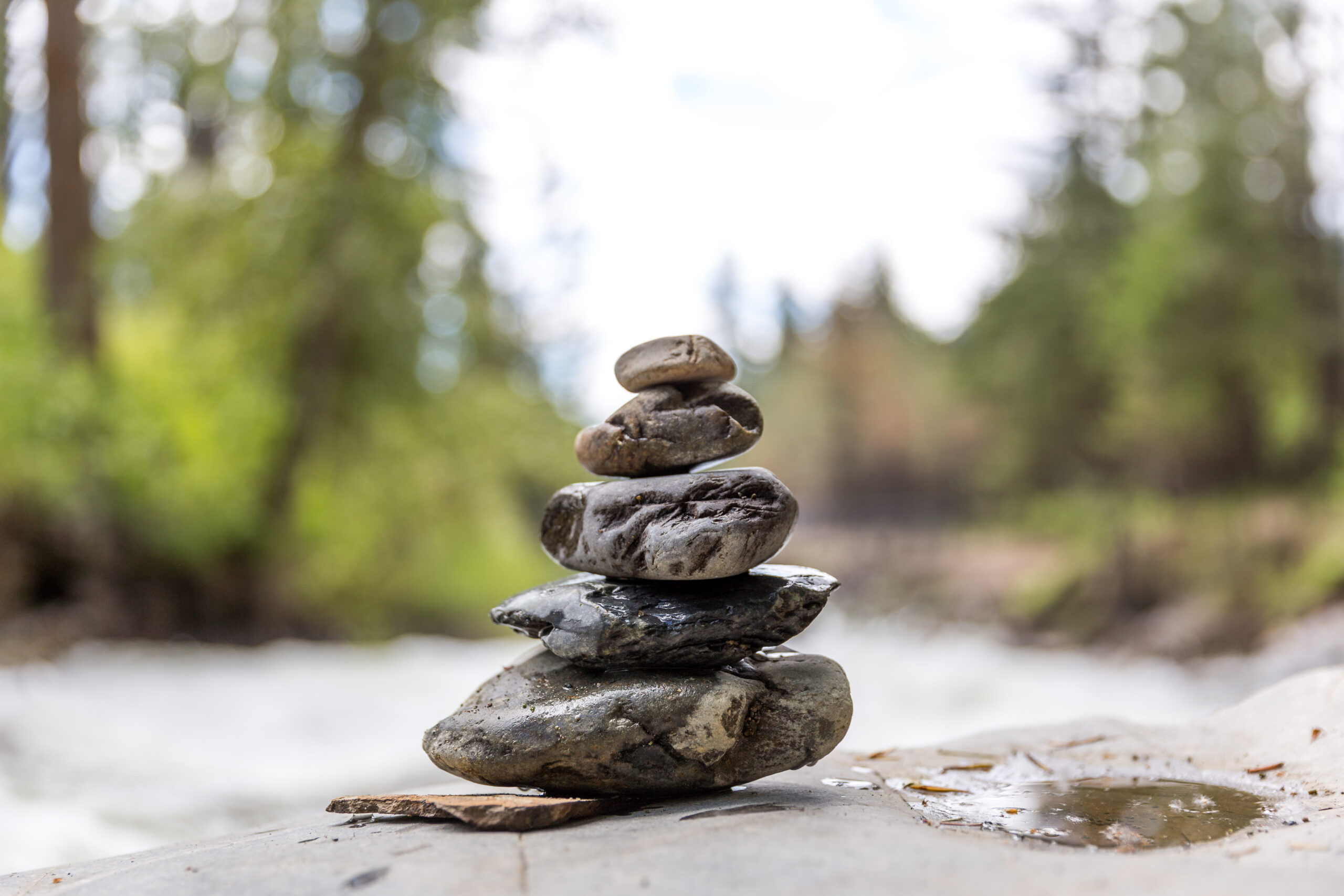 First-Time Buyers - Cathy Graham PREC*